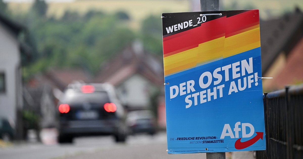 Extremismusforscher: "AfD schreckt nicht mehr ab" | nw.de