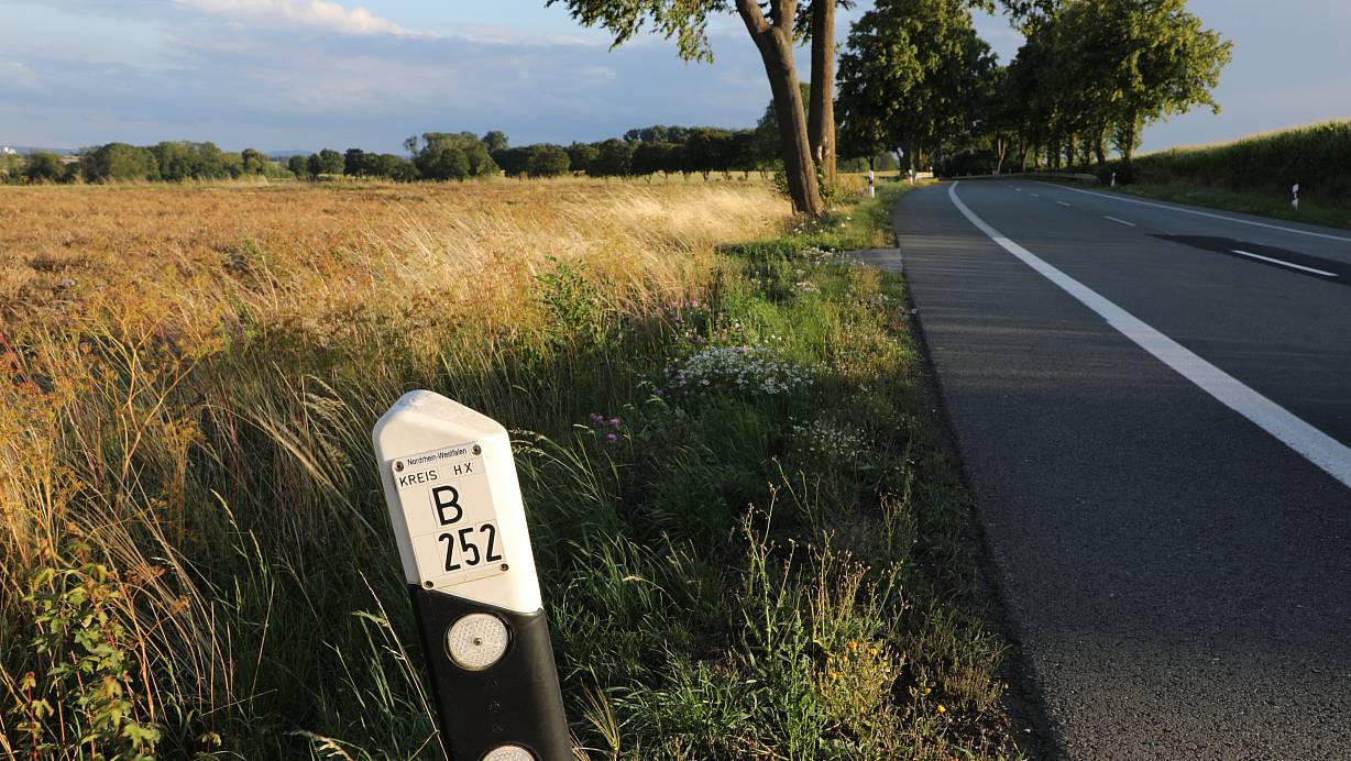 Ausbau der B252 zwischen Warburg und Willebadessen verschiebt sich | nw.de