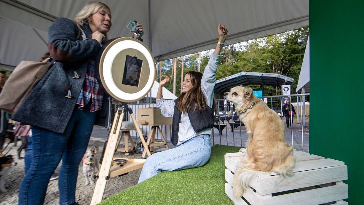 Erfolgreiche Hunde im Netz: Petfluencer-Awards verliehen | nw.de